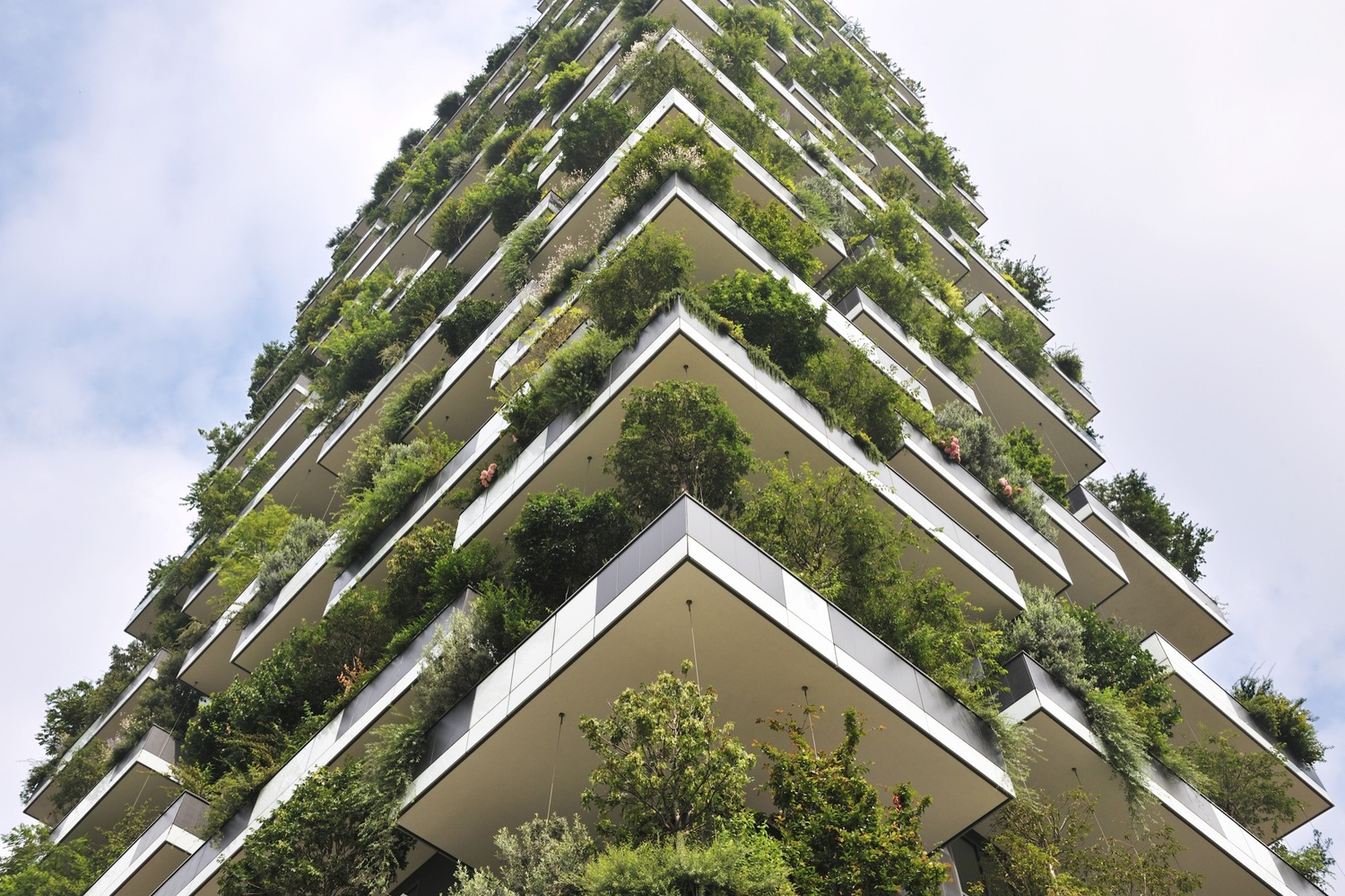 Floresta Vertical - Exemplo de Sustentabilidade - Ca2 Consultores